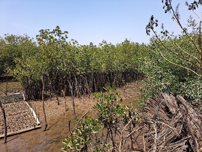 Association SEED - Setec Fondation